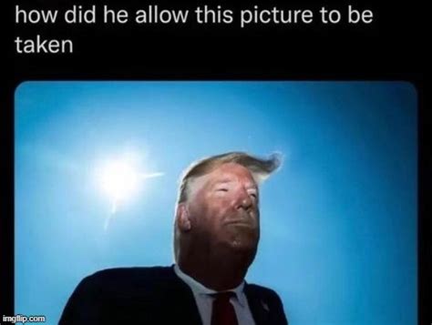 The Golden Egg Imgflip