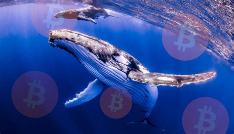Las ballenas de Bitcoin vendieron más de USD 1000 millones en BTC en