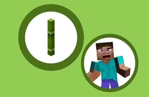 Dónde y cómo encontrar bambú en Minecraft y para qué sirve Usos del