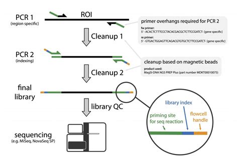 ngi sweden illumina amplicon sequencing