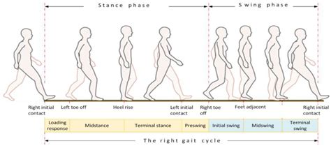 sensors free full text human gait activity recognition machine learning methods