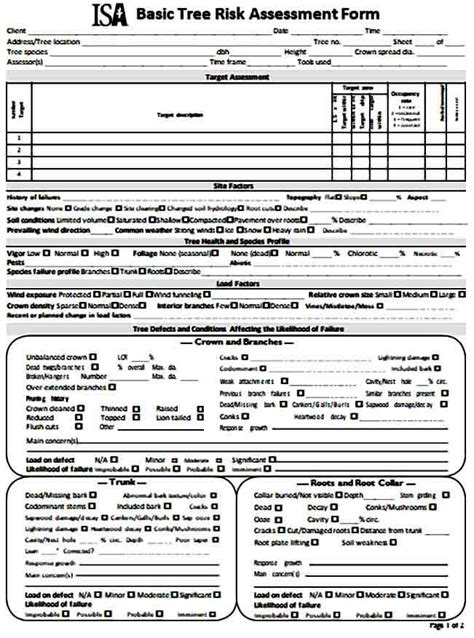 Isa Tree Risk Assessment Form
