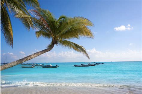 Best Beaches In Playa Del Carmen Playa Yachting