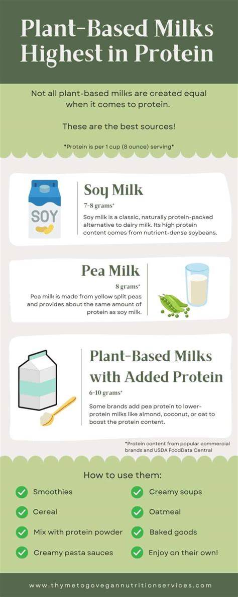 High Protein Plant Based Milks In 2024 Thyme To Go Vegan RD