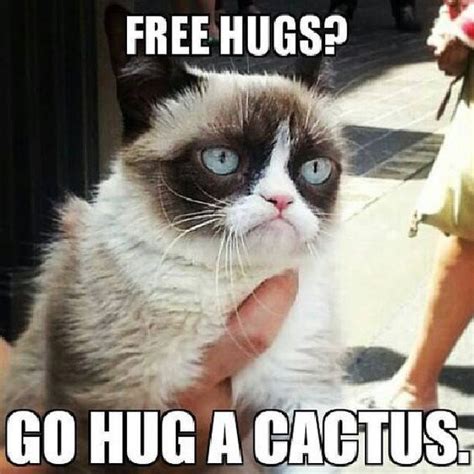 10 Of Grumpy Cat S Best Hilarious Memes I Can Has Cheezburger