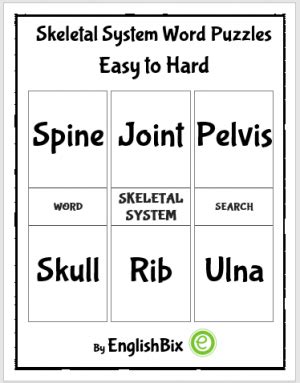 Skeletal System Word Search Printables Englishbix