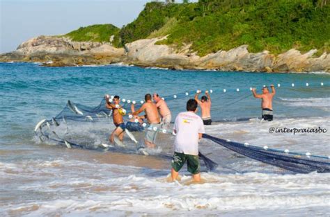 Per Odo Da Pesca Artesanal Da Tainha O Que Pode E O Que N O Pode