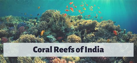 Coral Reefs Of India