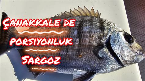 ÇANAKKALE DE SABAH SUYU SARGOZ AVI YouTube