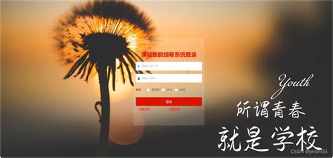 java php node js python课程智能组卷系统【2024年毕设】 csdn博客