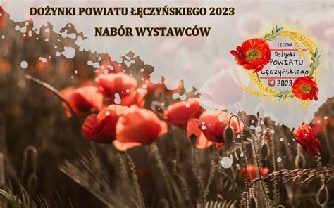 Do Ynki Powiatu Czy Skiego Nab R Wystawc W Powiat Czy Ski