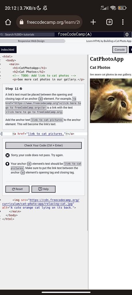 learn html by building a cat photo app step 11 html css the freecodecamp forum