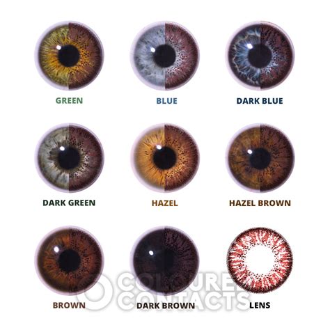 Hazel Brown Contact Lenses