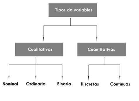 Variables estadísticas definición tipos y ejemplos