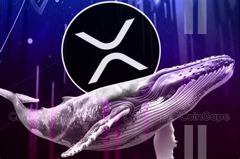 XRP News Ripple Whales Massive Buying Indicates Breakout Ahead