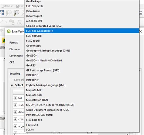 QGIS Export ESRI File Geodatabase Versus ESRI FileGDB Geographic