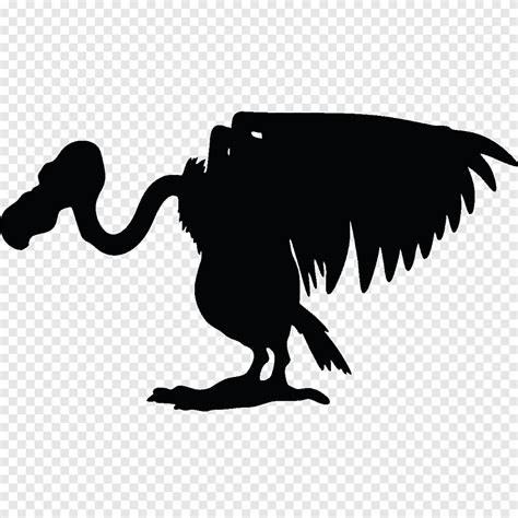 Turquie Vautour Turc Oiseau Autocollant Buse Commune Sticker
