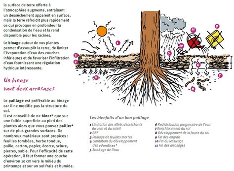 Breuillet Nature Jardiner Pour La Plan Te