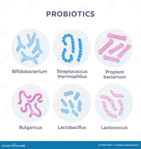 3d Render Set Of 3d Render Probiotic Bacteria Bulgaricus Lactobacillus