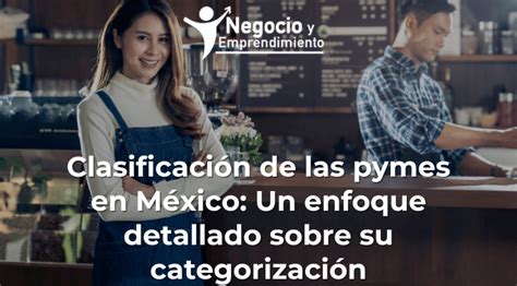 Cómo se clasifican las pymes en México Enfoques y categorias