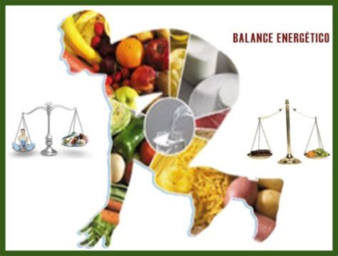 Aquí te decimos qué es el balance energético THE FOOD TECH Medio de