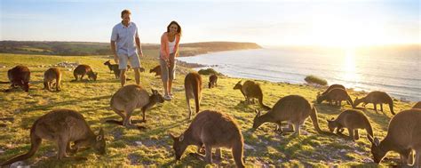 Voyage Kangaroo Island tour et circuits sur lîle des Kangourous au
