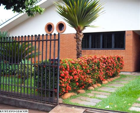Viveiro Ciprest Plantas Nativas E Ex Ticas Ixora Mini Vermelha