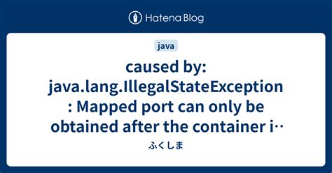 Caused By Java Lang IllegalStateException Mapped Port Can Only Be