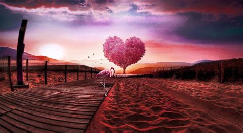 Top 999 Love Nature Wallpaper Full HD 4K Free To Use