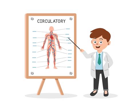 Circulatory System Clipart Cartoon Style Doctor Presenting Human