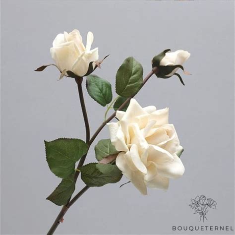 Descubra 48 Kuva Rose Blanche Fausse Thptnganamst Edu Vn