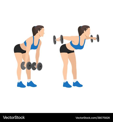 Seated Bent Over Rear Delt Raise