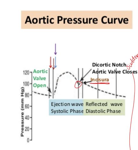 Cv Physiology Arterial Blood Pressure Off