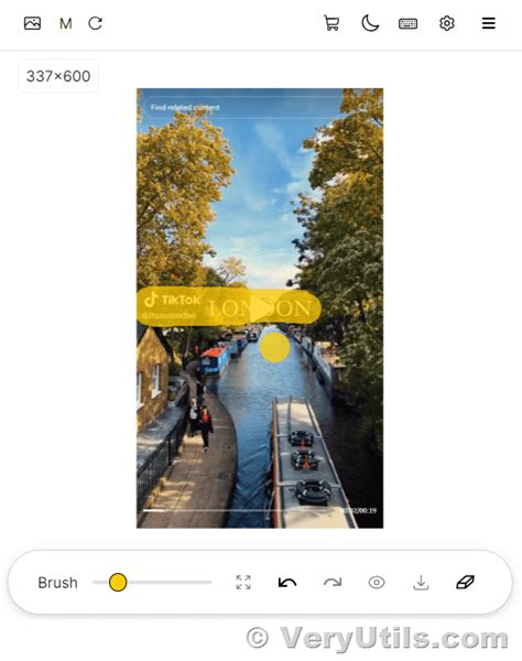 The Best Free Tool To Remove The TikTok Watermark From Your TikTok