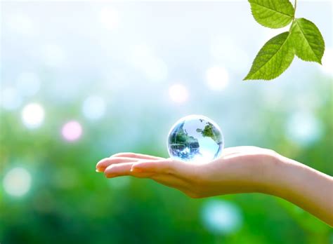 6 Consejos Para Reducir El Impacto Ambiental Desde Casa Me Lo Dijo Lola