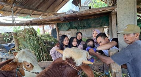Jelang Idul Adha Dinas Pertanian Dan Pangan Banyuwangi Lakukan Cek