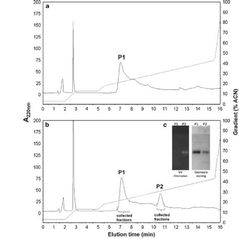 hplc separation on c18 column of mtg modified ovomucoid from the download scientific diagram