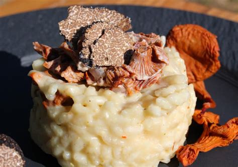Risotto aux girolles et à la truffe d automne Magazine Plantin