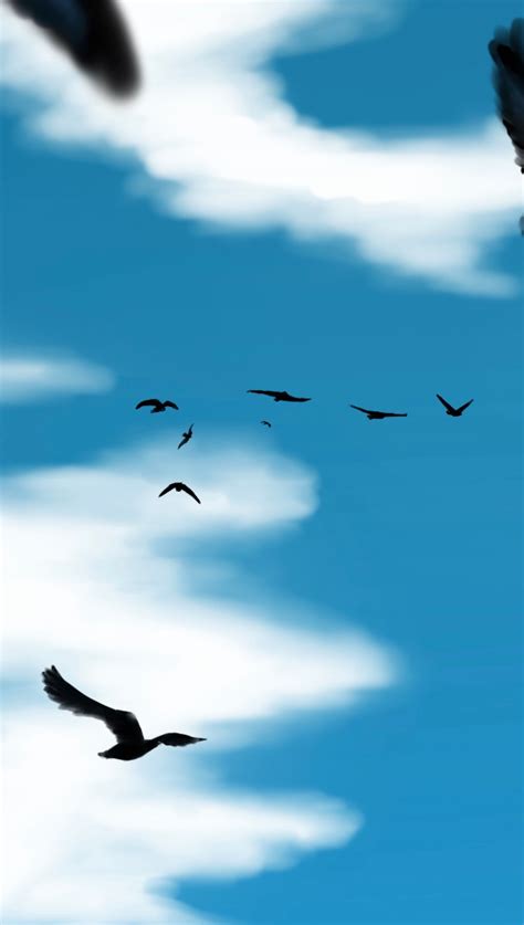 Birds In Sky Wallpapers Wallpaper Cave