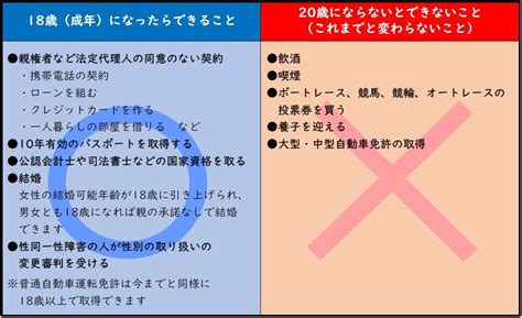 20さいになったらできることの検索結果 Yahoo きっず検索
