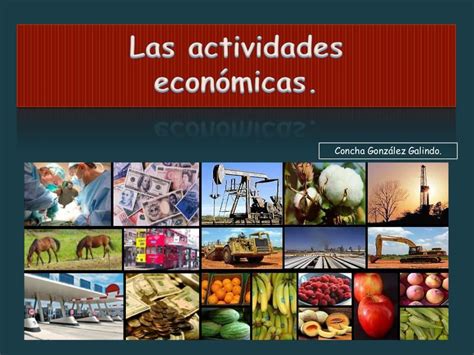 CONOCE las ACTIVIDADES ECONÓMICAS PRIMARIAS RENTABLES