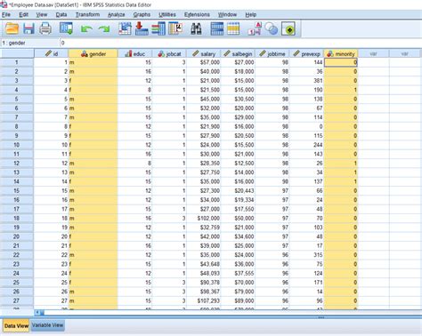 Calculation Of Chi Square Test In SPSS Javatpoint