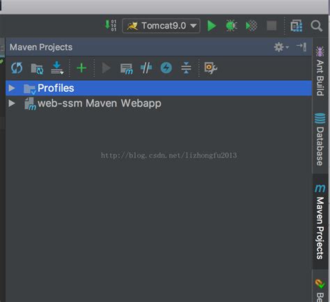 ssm~入门总结（intellij idea maven spring springmvc mybatis） idea maven ssm pom xml csdn博客