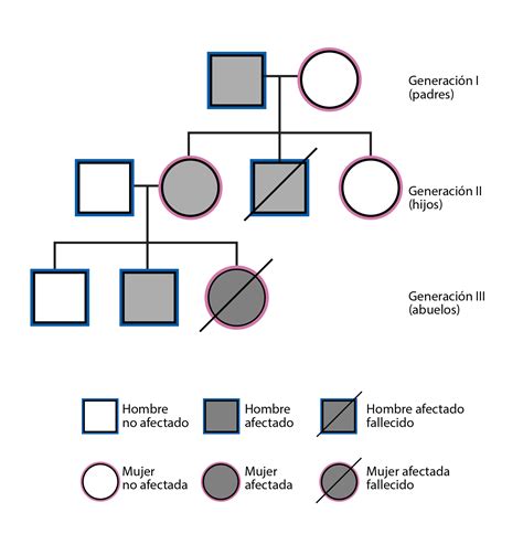 Details 48 qué son los árboles genealógicos Abzlocal mx