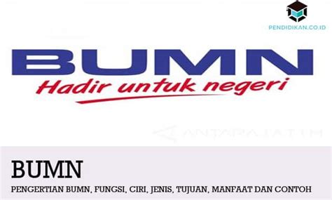 Penjelasan Tentang Bumn