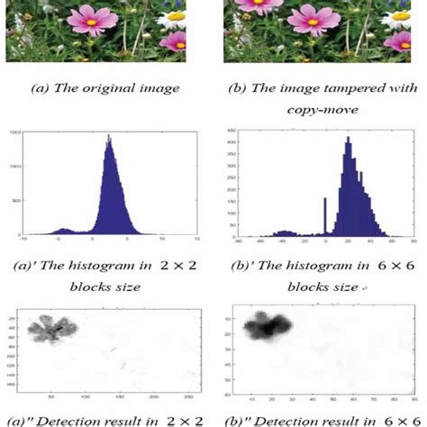the example of copy move forgery detection download scientific diagram