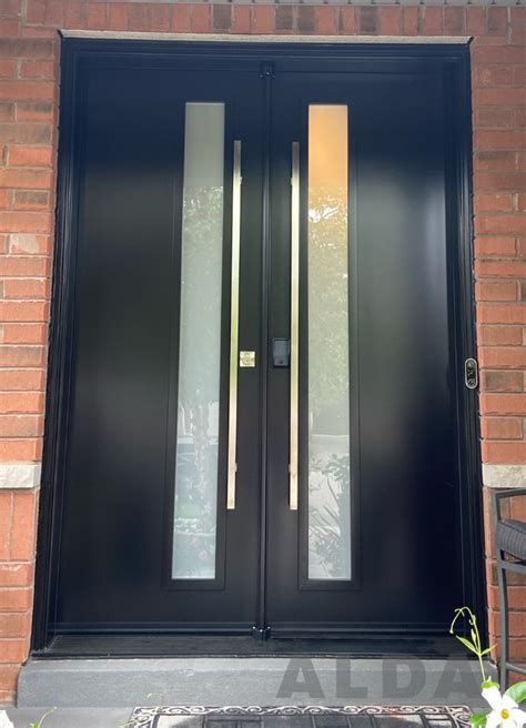Black Steel Double Door With Two Glass Inserts ALDA