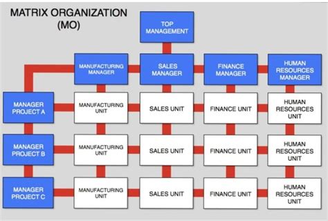 Please Explain Project Management Organisation And Matrix Organisation