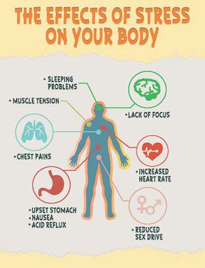 3 Stress Common Effects Of Stress On Adolescents Biohold