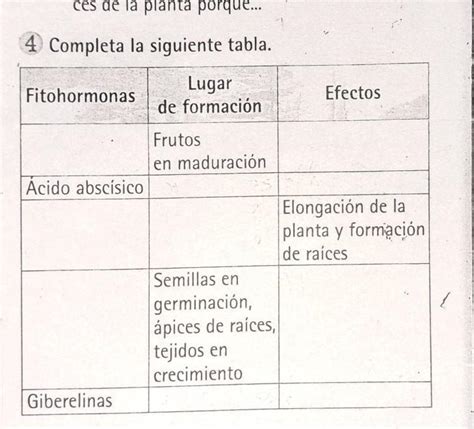 Por Favor Me Ayudan Brainly Lat